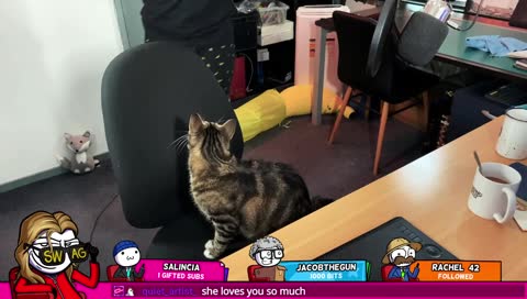 Loading Artist » Virtually Extinct